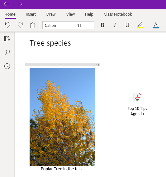 Best practices for OneNote | Mission Computers